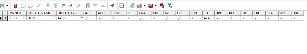 How To Enable Auditing In Oracle Database Dataplatform Gr